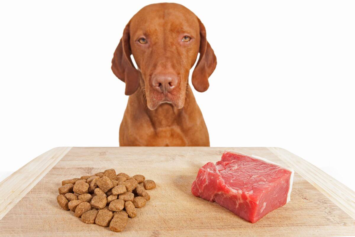 Best Human-Grade - Dog Food Ranking